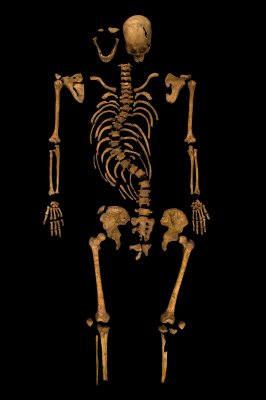 Skeleton found under car park is King Richard III, say archaeologists