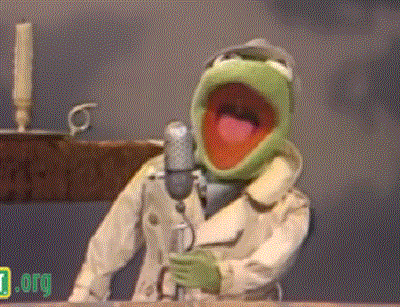 Yep, this fella looks exactly like Kermit the Frog · TheJournal.ie