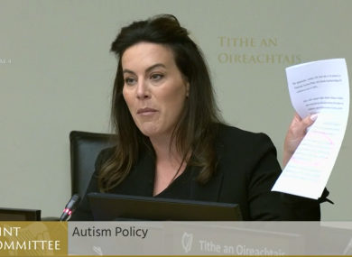 TD ‘beyond embarrassed’ by lack of action on services for autistic children